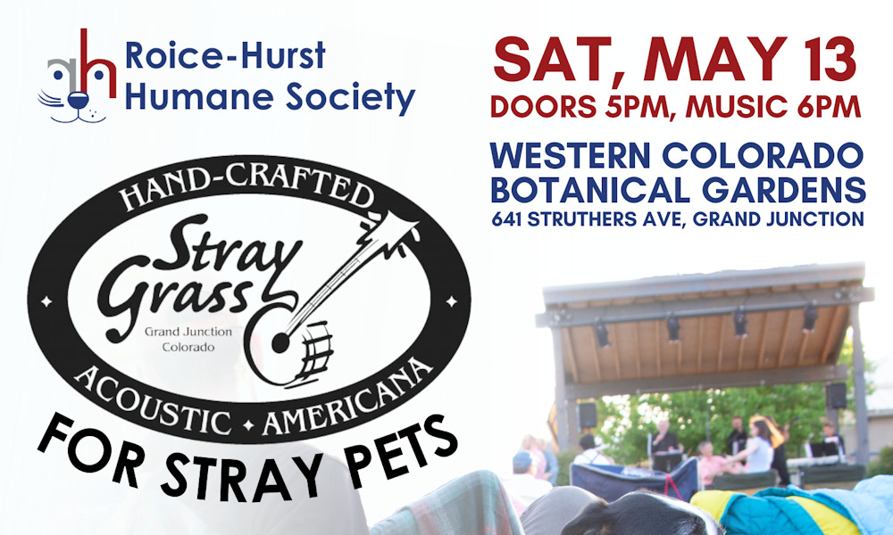 Stray Grass for Stray Pets Benefit Concert